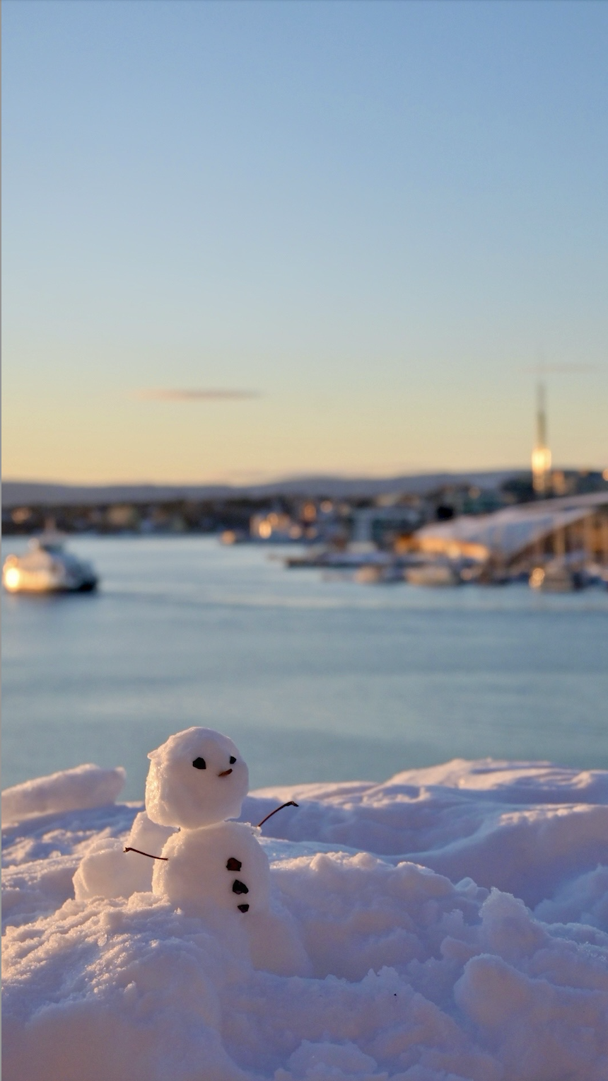 Exchange Choices - Undergraduate Programs