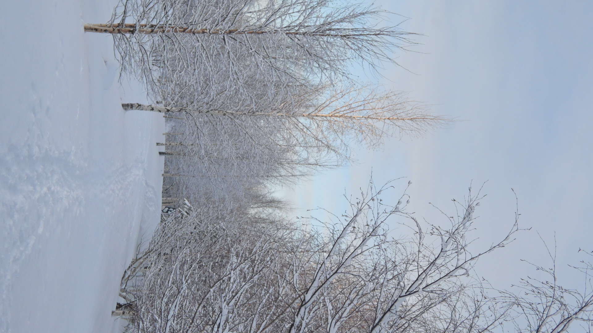 Exchange Choices - Undergraduate Programs