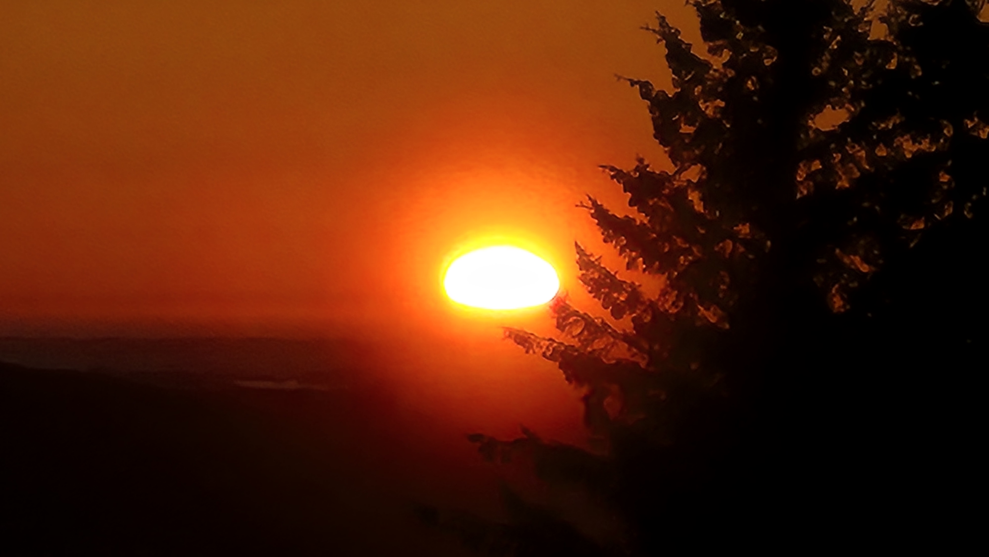 Exchange Choices - Undergraduate Programs